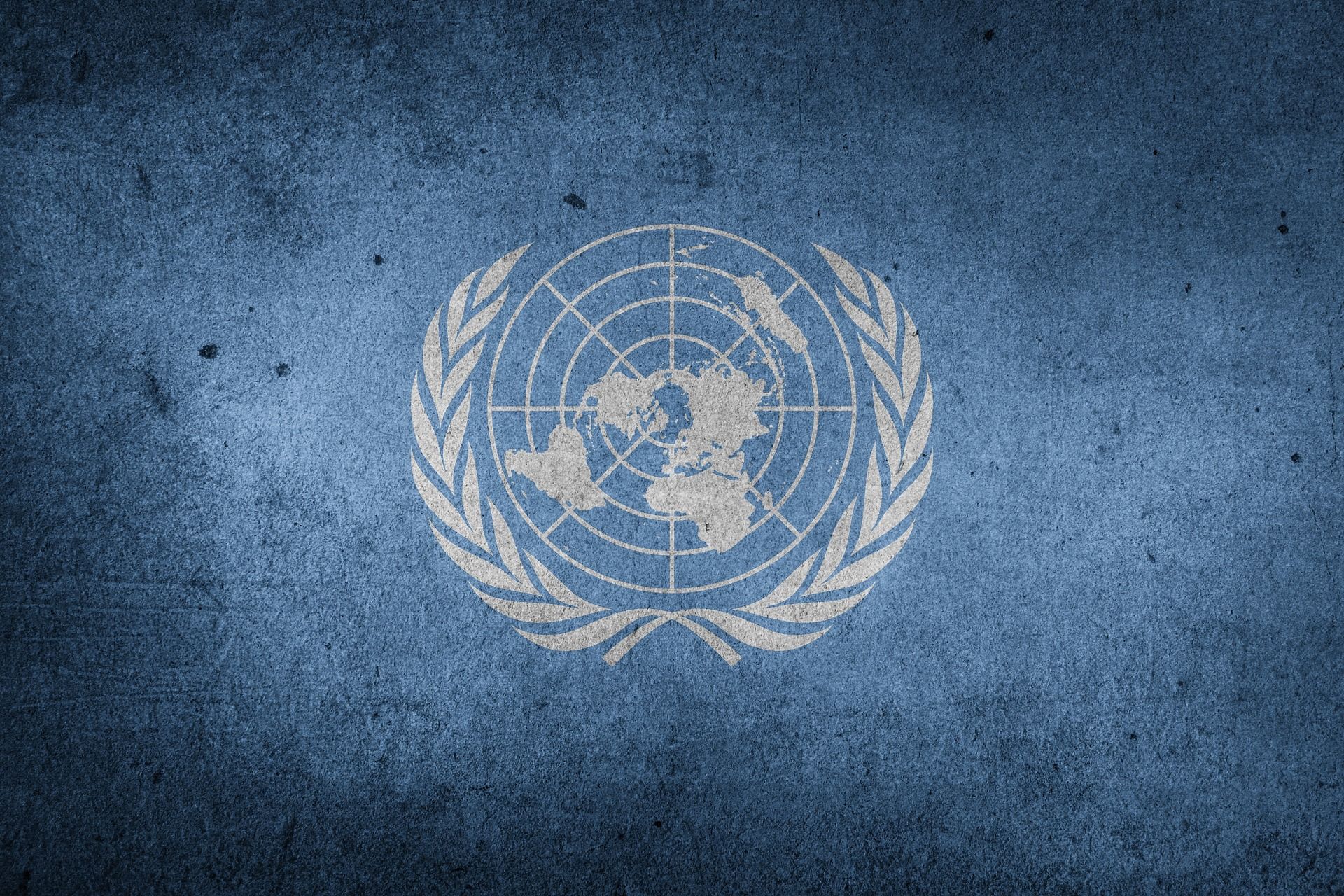 L'ONU - Organisation des Nations Unies